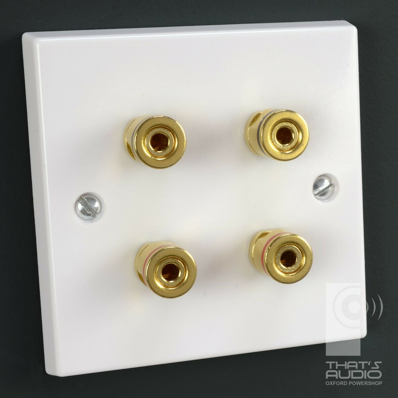 Speaker Wall Face Plate for 2 Speakers (2.0) (Non-Solder) | THAT'S AUDIO!